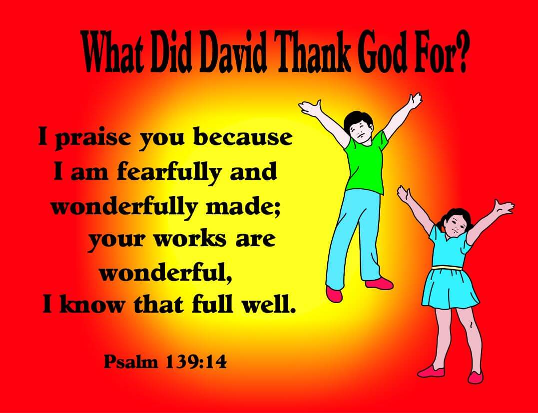 Davids Thankful Game Body The Scripture Lady